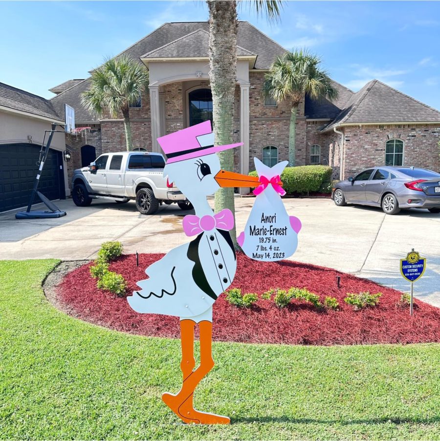 Gallery: Storks for Birth, Shower or the Sip & See event in Denton ...